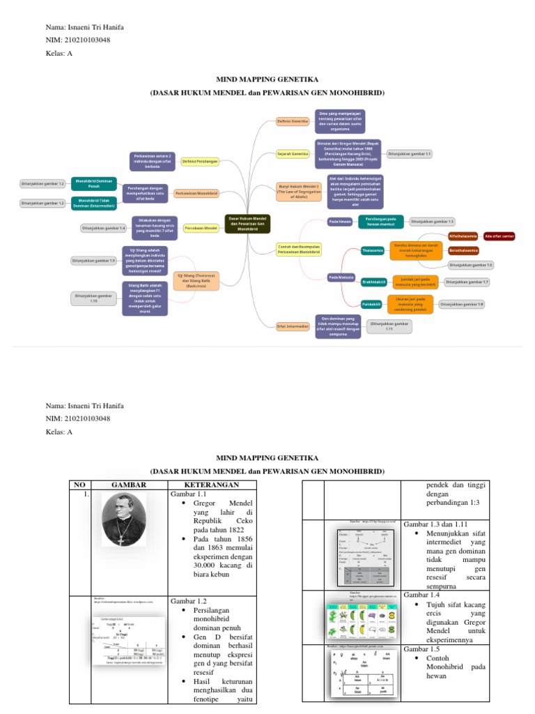 Mind Mapping Dasar Hukum Mendel dan Persilangan Monohibrid | PDF