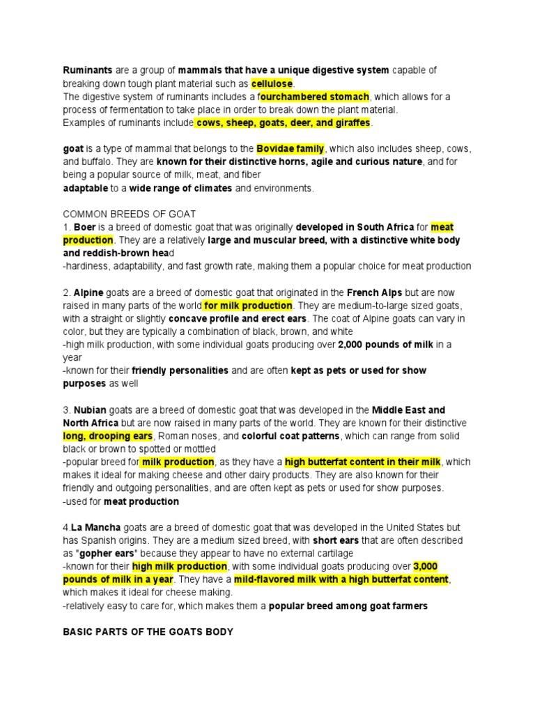 Four-Chambered Stomachs: Ruminants' Unique Digestive System | PDF ...