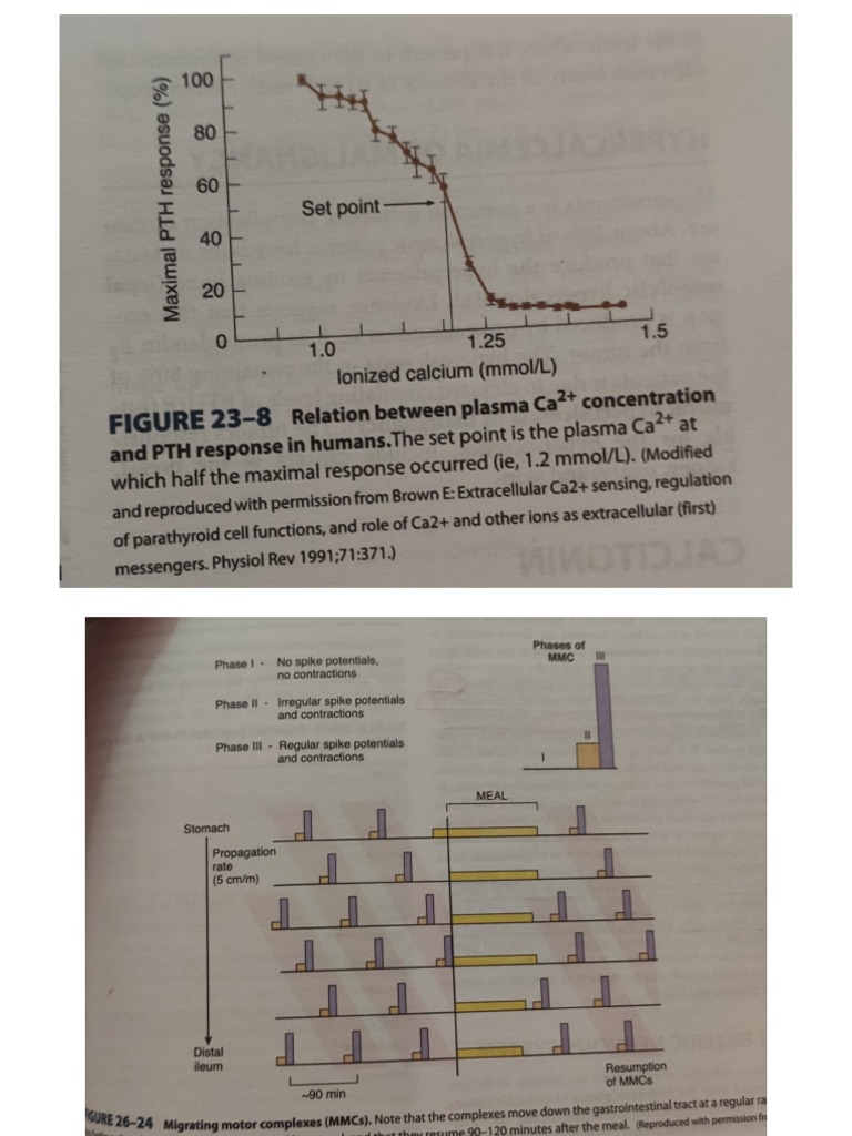 Physiology Graphs compiled by Uy⏳? | PDF
