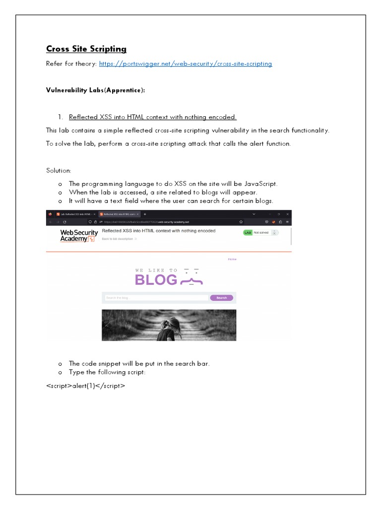 Cross Site Scripting (Portswigger Apprentice Manual) | PDF | Document Object Model | Http Cookie
