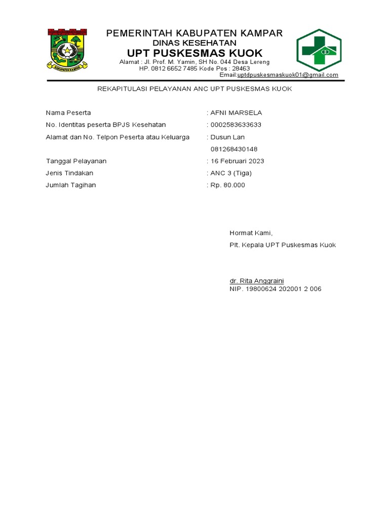 Rekapitulasi Pelayanan Anc | PDF