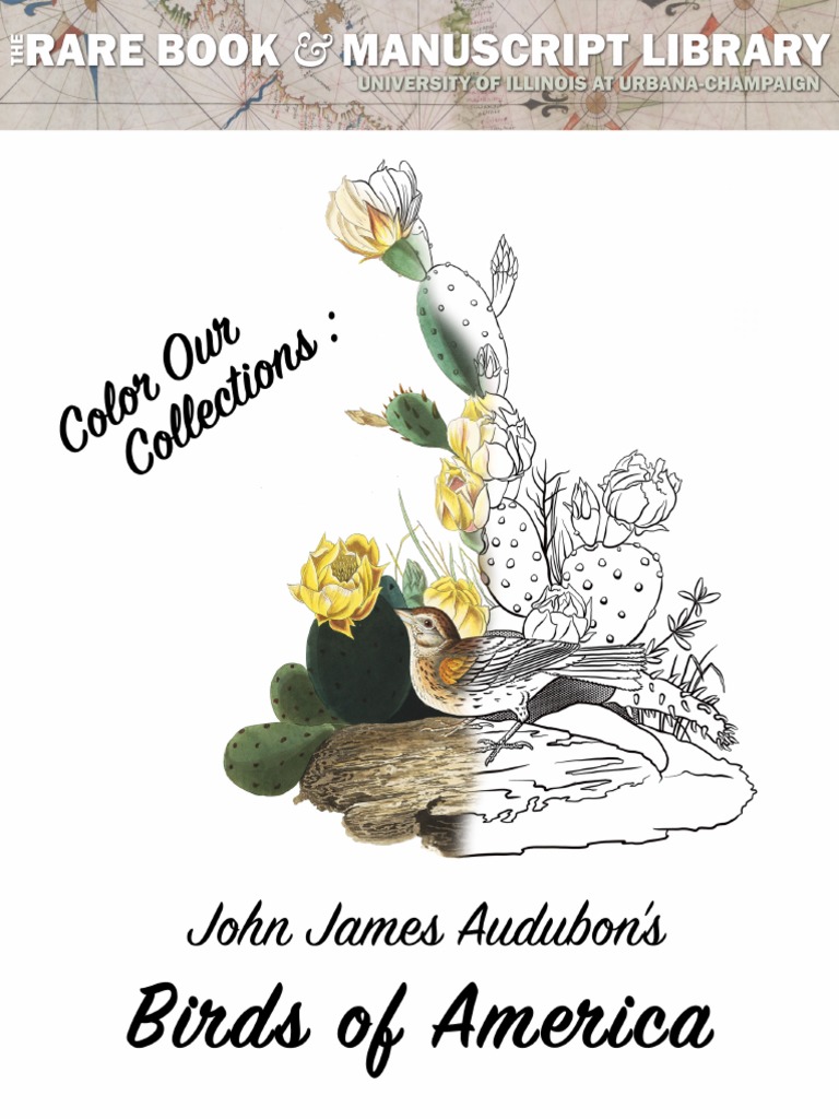 Audubon Birds Coloring Book | PDF