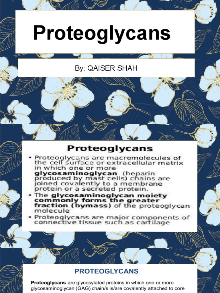 Proteoglycans in Animal Tissues | PDF | Lifestyle