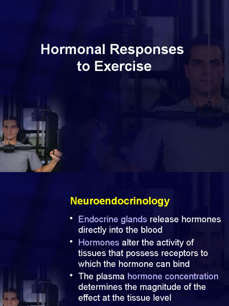 Hormonal Response To Exercise | Download Free PDF | Endocrine System ...