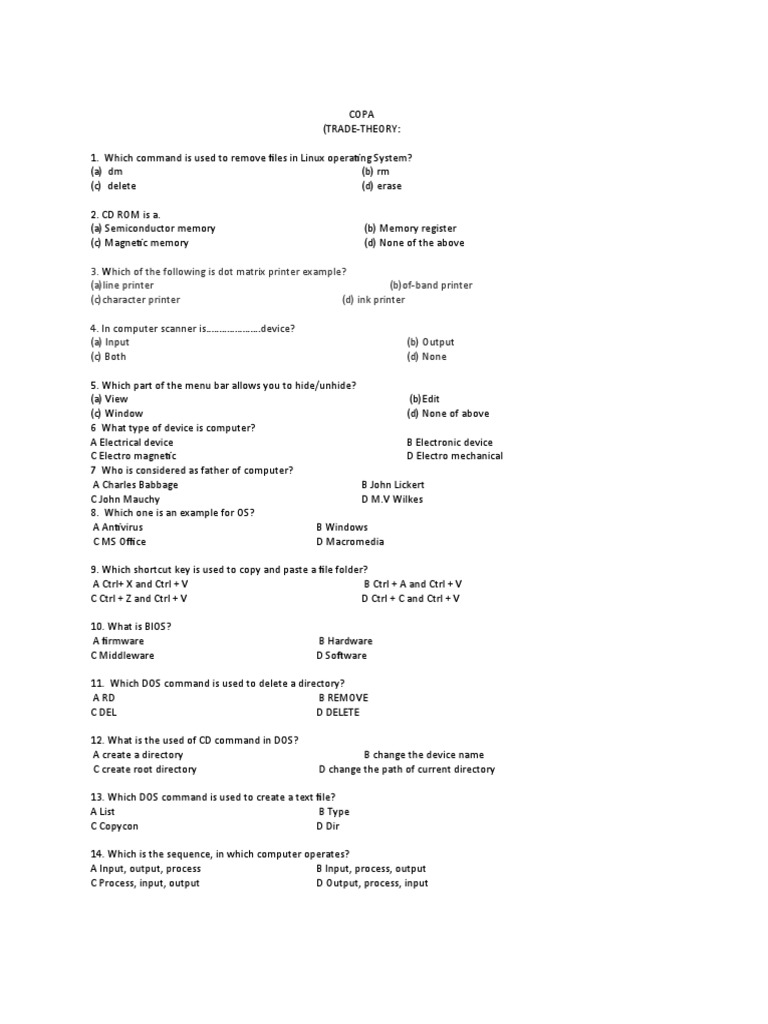 Copa Pdf Computer Data Storage Input Output