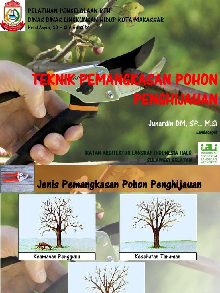 Teknik Pemangkasan Pohon Penghijauan | PDF