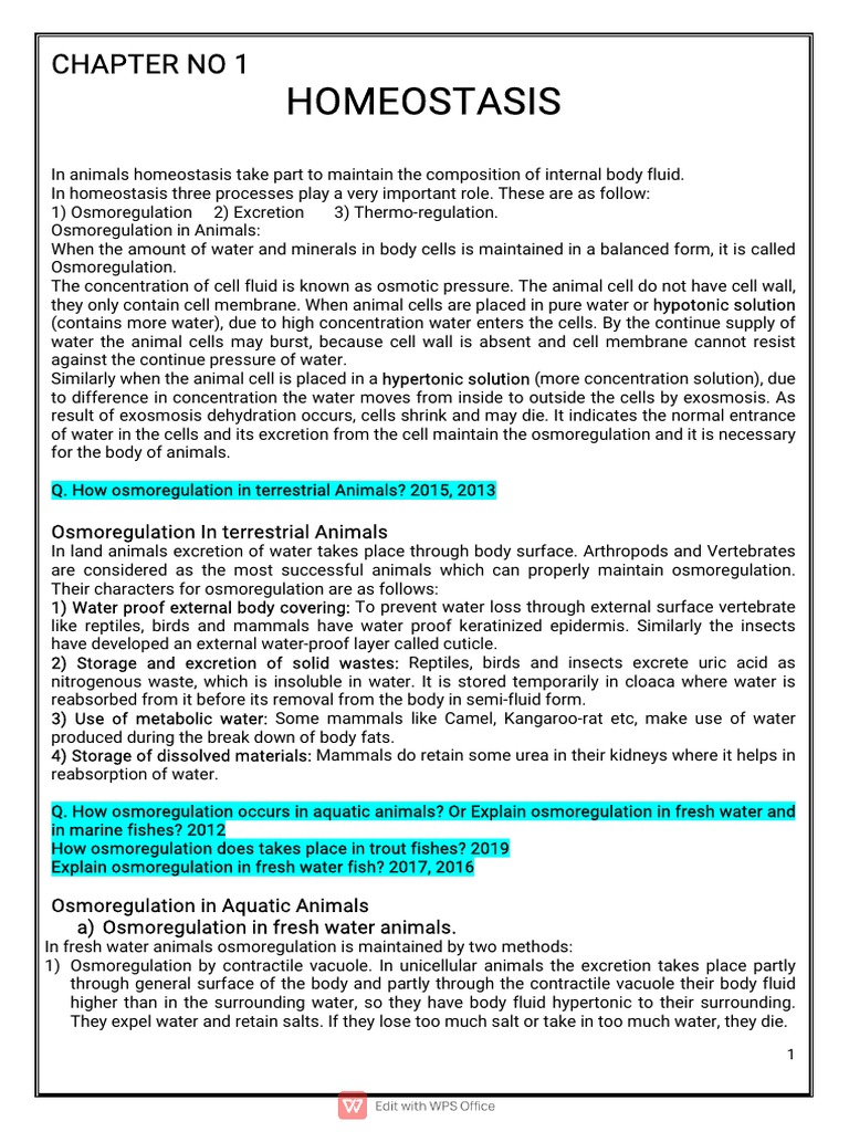 Animal Homeostasis: Osmoregulation & Kidney Function | PDF | Anatomy ...