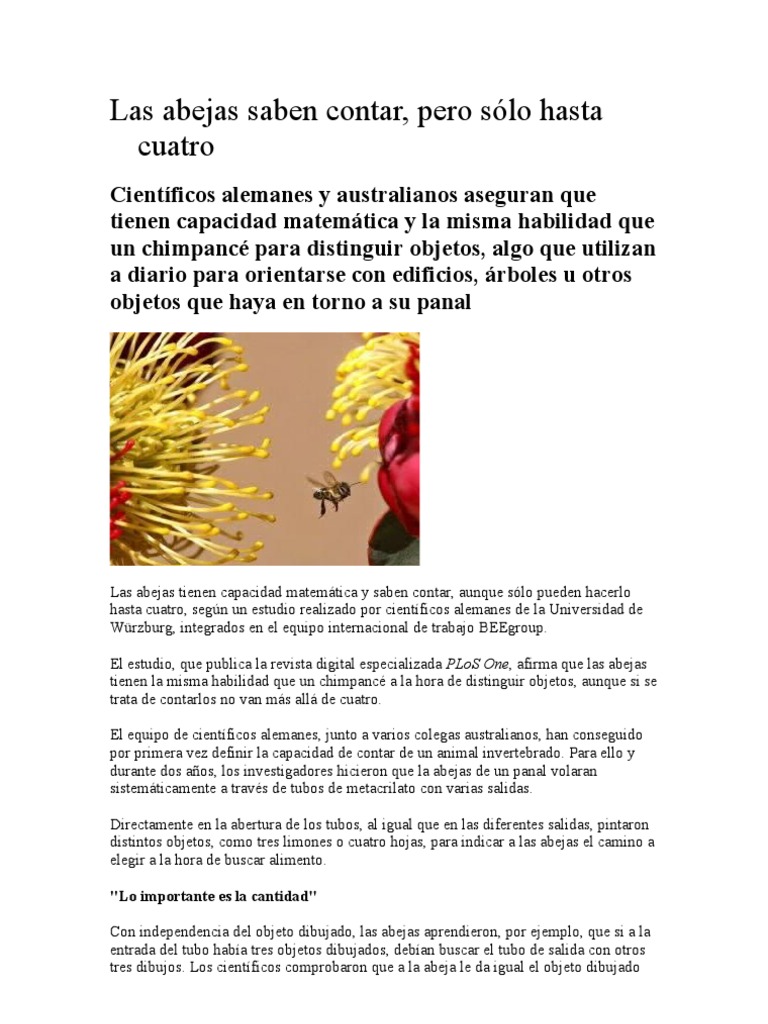 Las Abejas Saben Contar | PDF | Abejas | Miel