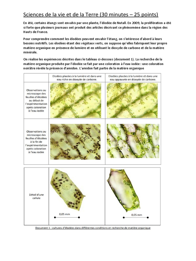 Besoins nutritifs des élodées de Nutall | PDF | Matière organique ...