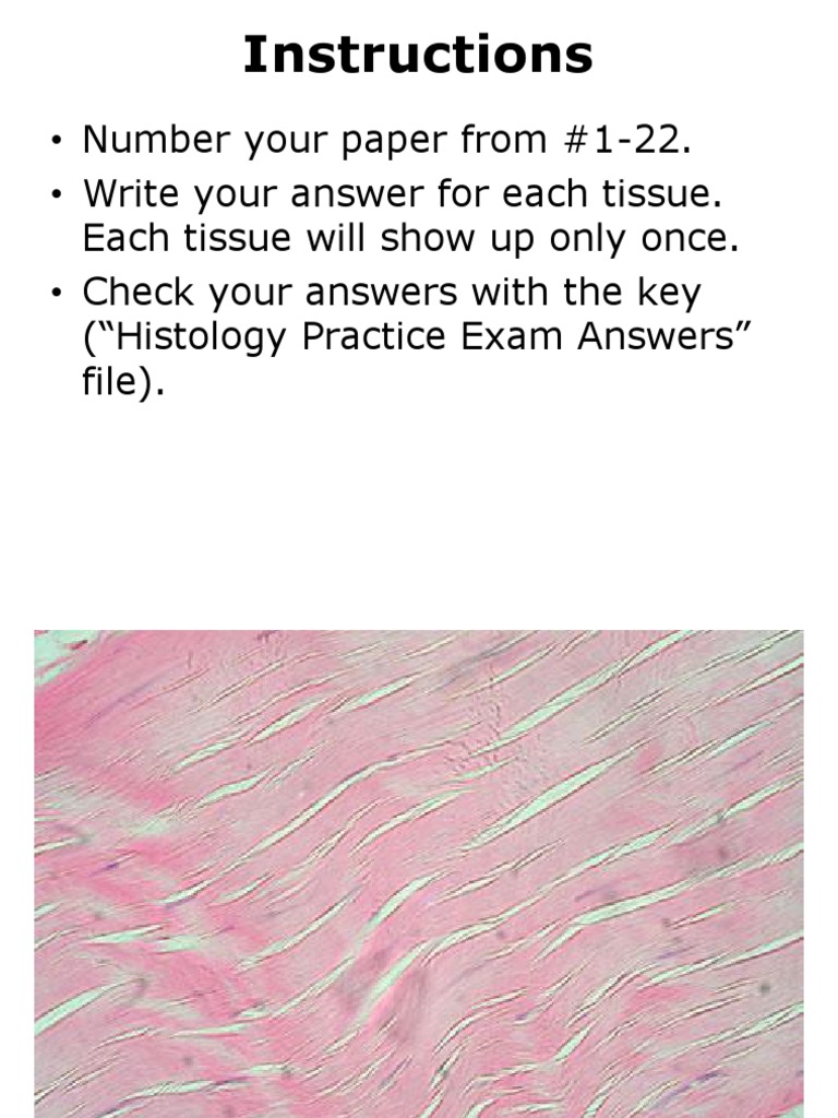 Histology Practice Exam Questions PDF | PDF | Games & Activities