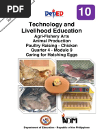 Indicators PMES 2024-2025 | PDF