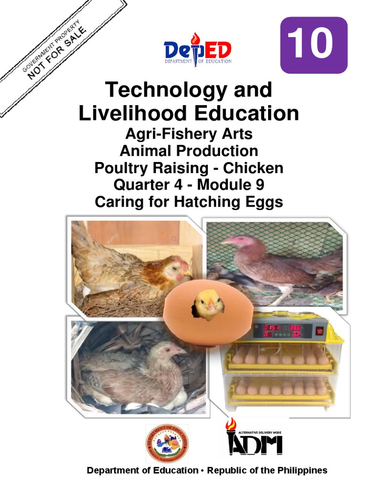 Tle10 Afa Poultry q4 Mod9 Caringforhatching Eggs v4 | PDF | Chicken | Egg Tle10 Afa Poultry q4 Mod9 Caringforhatching Eggs v4 | PDF | Chicken | Egg