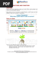 Food Chain Graphic Organizer | PDF | Foods
