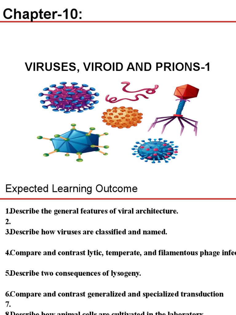 Viruses, Viroids, and Prions Overview | PDF | Virus | Bacteriophage