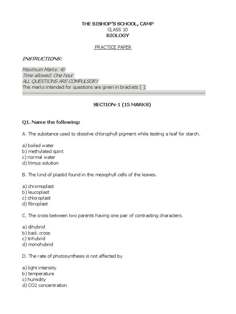 Class 10 Biology Practice Paper | PDF | Leaf | Tissue (Biology)