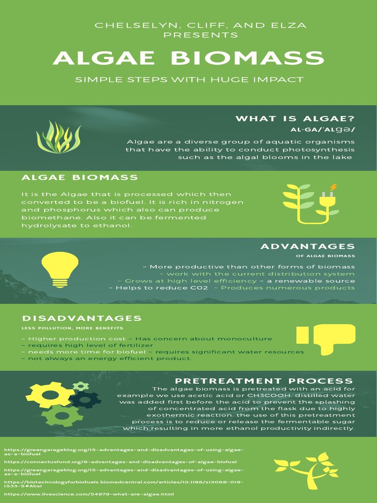 Algae RE Infographic PDF | PDF | Biofuel | Algae