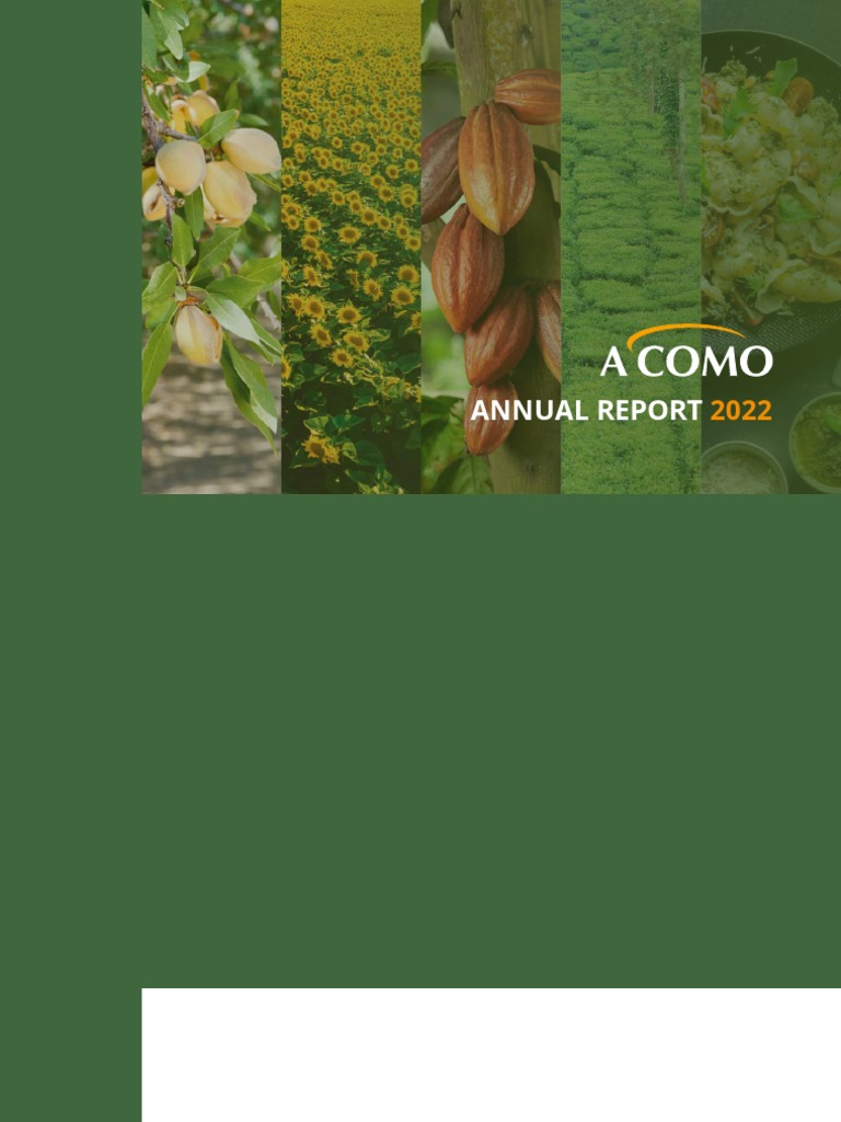Acomo Annual Report 2022 FINAL NAVI | PDF | Financial Statement ...