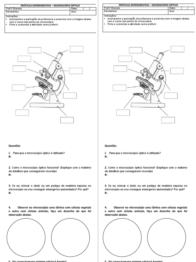 Atividade sobre Microscópio Óptico | PDF
