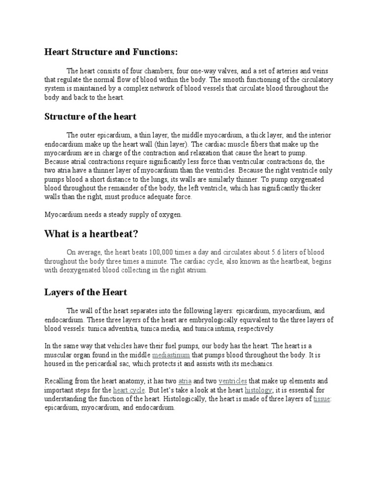 Heart Anatomy for Medical Students | PDF | Heart | Cardiac Muscle