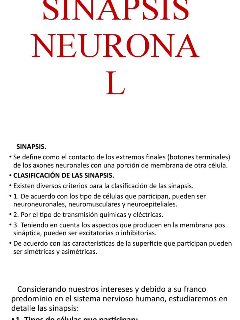 Tema 3 - 2 Sinapsis | PDF | Sinapsis | Sinapsis química