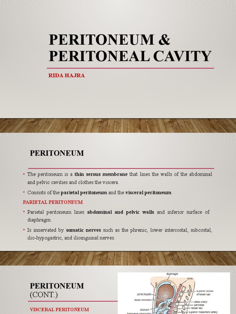 Peritoneum & PERITONEAL CAVITY | PDF