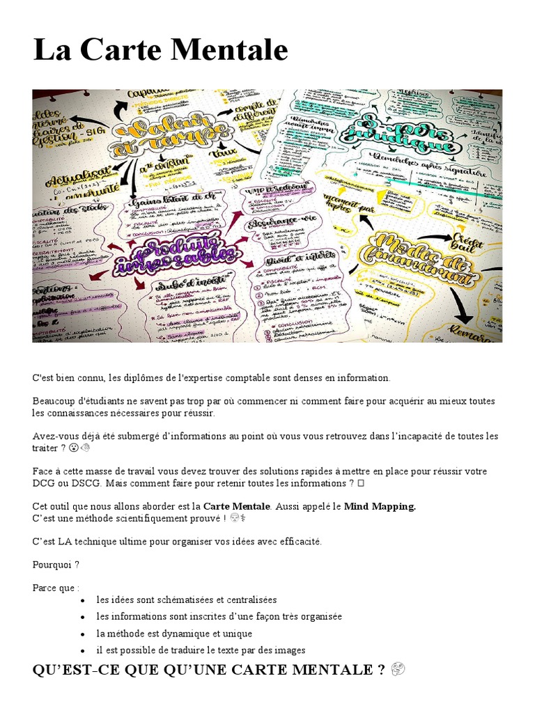 La Carte Mentale | PDF | Cognition | Sciences cognitives