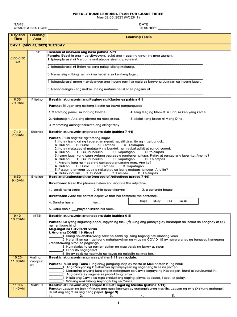 Q4 WHLP Week 1 Distance Learning Jaena | PDF