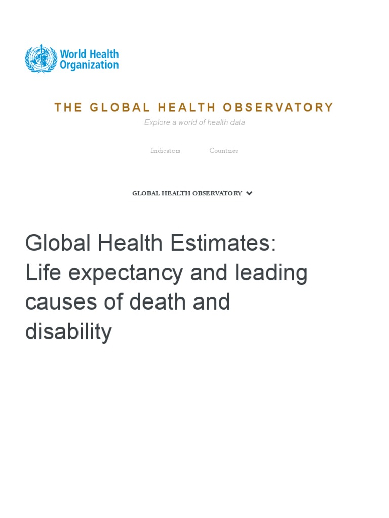 Global Health Estimates: 2019 Overview | PDF | Life Expectancy ...