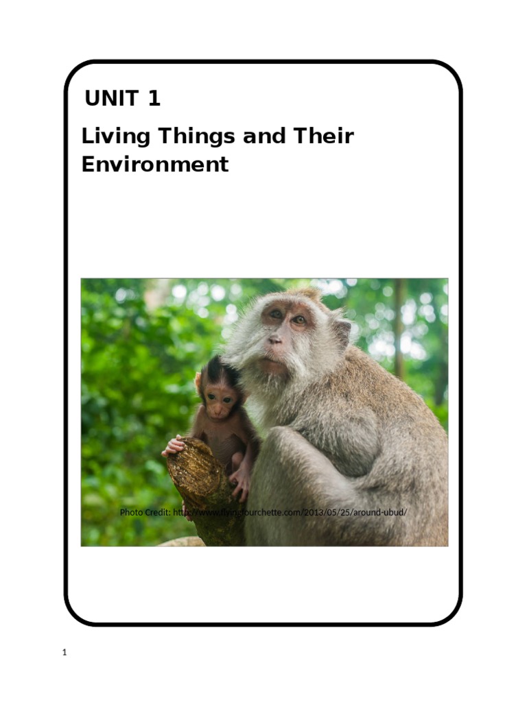 Science Grade 9 LM CONTENT 1 | PDF | Heart | Atrium (Heart)