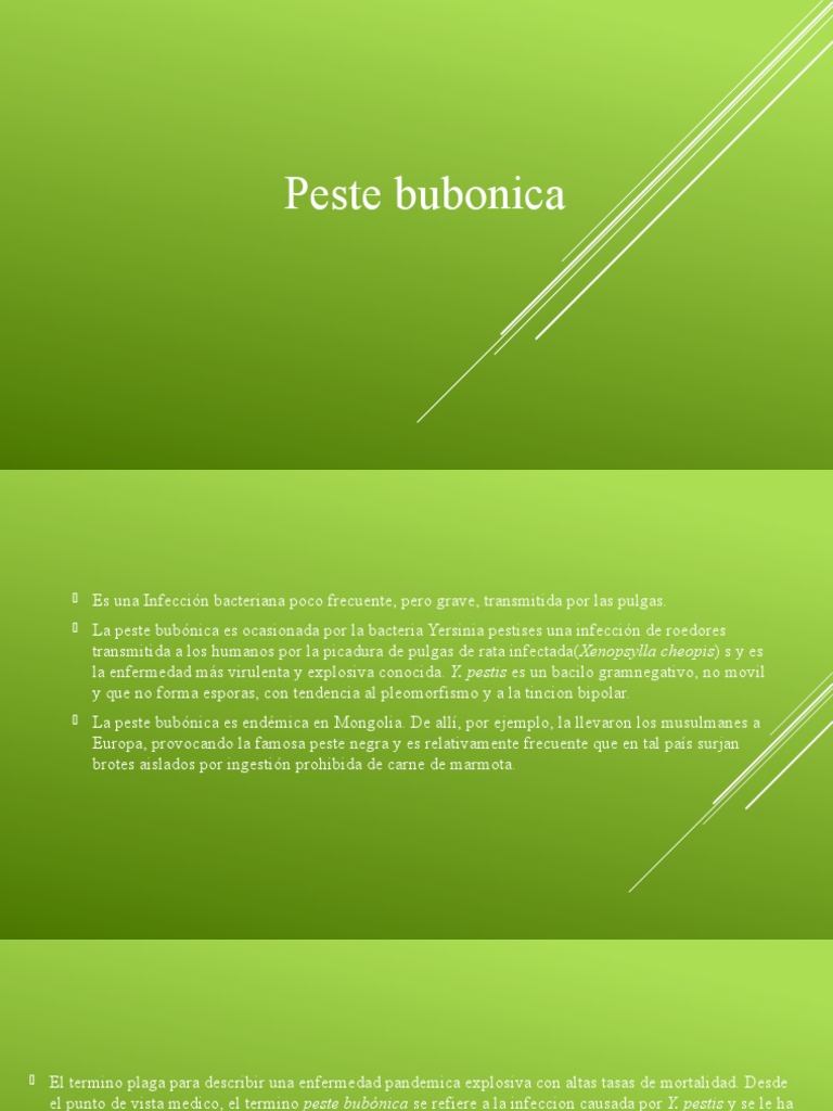 Epidemilogia Peste Bubonica | PDF | Peste (enfermedad) | Microbiología