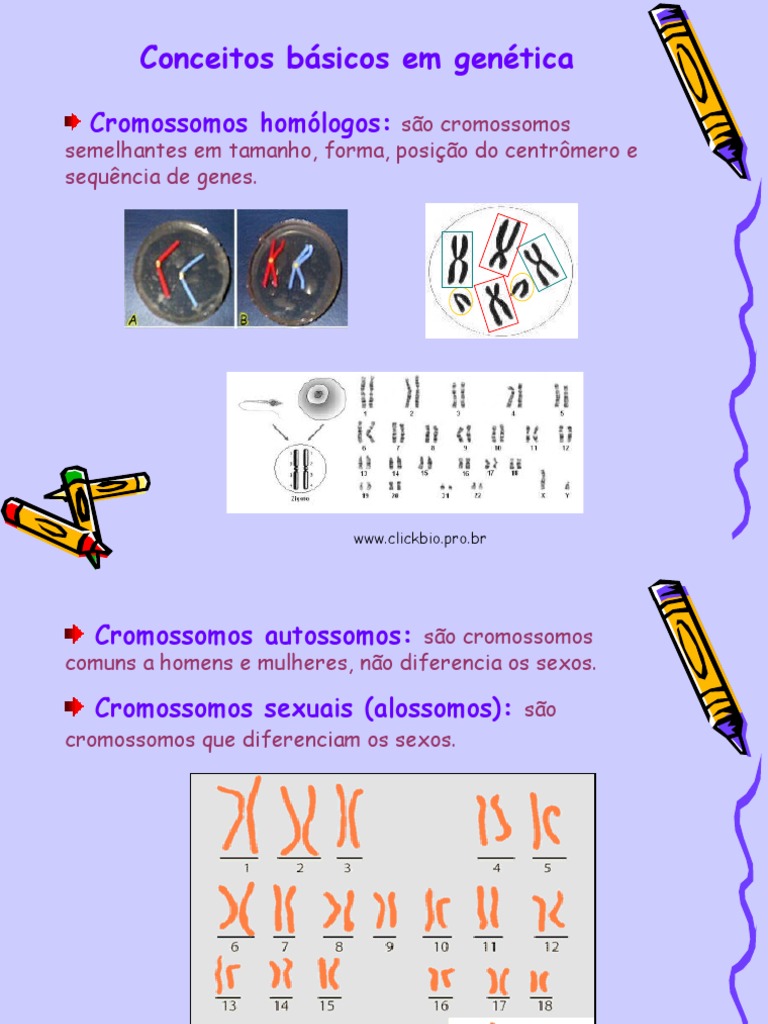Conceitos em Genética | PDF
