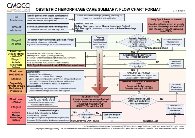 Obstetric Hemorrhage Protocol | PDF | Bleeding | Maternal Health