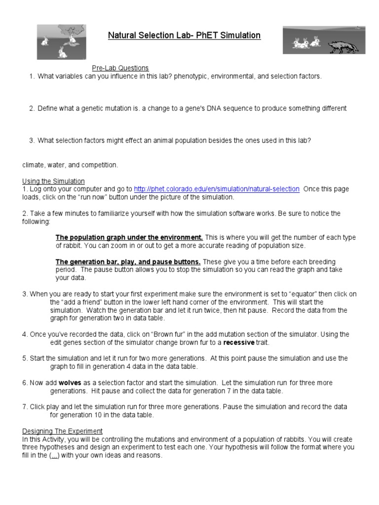 PhET Natural Selection Lab | PDF | Dominance (Genetics) | Natural Selection