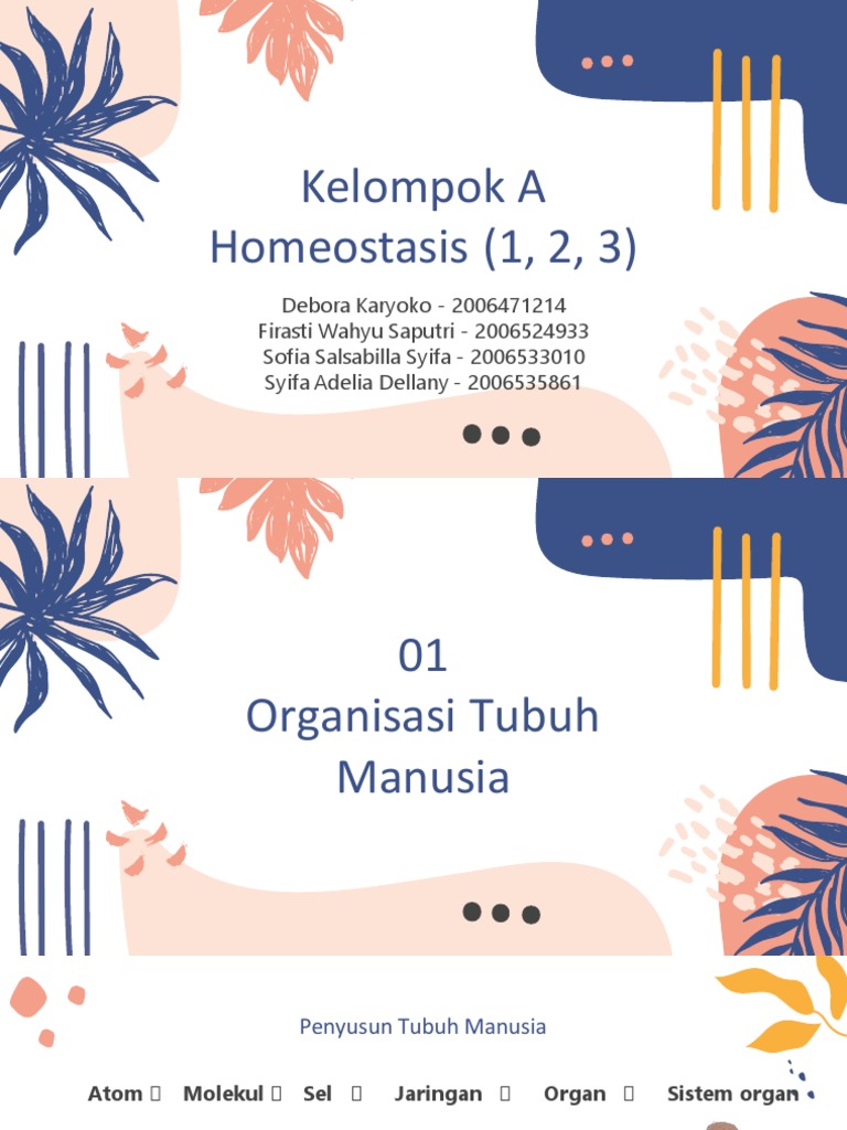 A16 - PPT Kelompok - Homeostasis Dan Komunikasi Sel | PDF