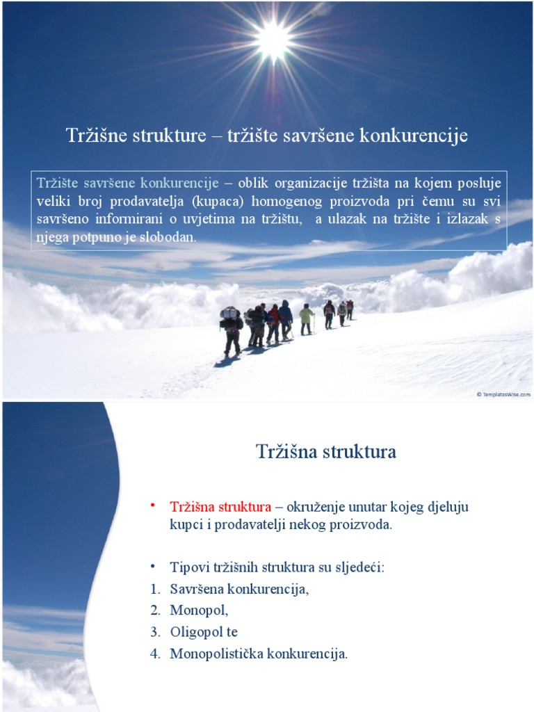 PE - Tržišne Strukture - SK | PDF