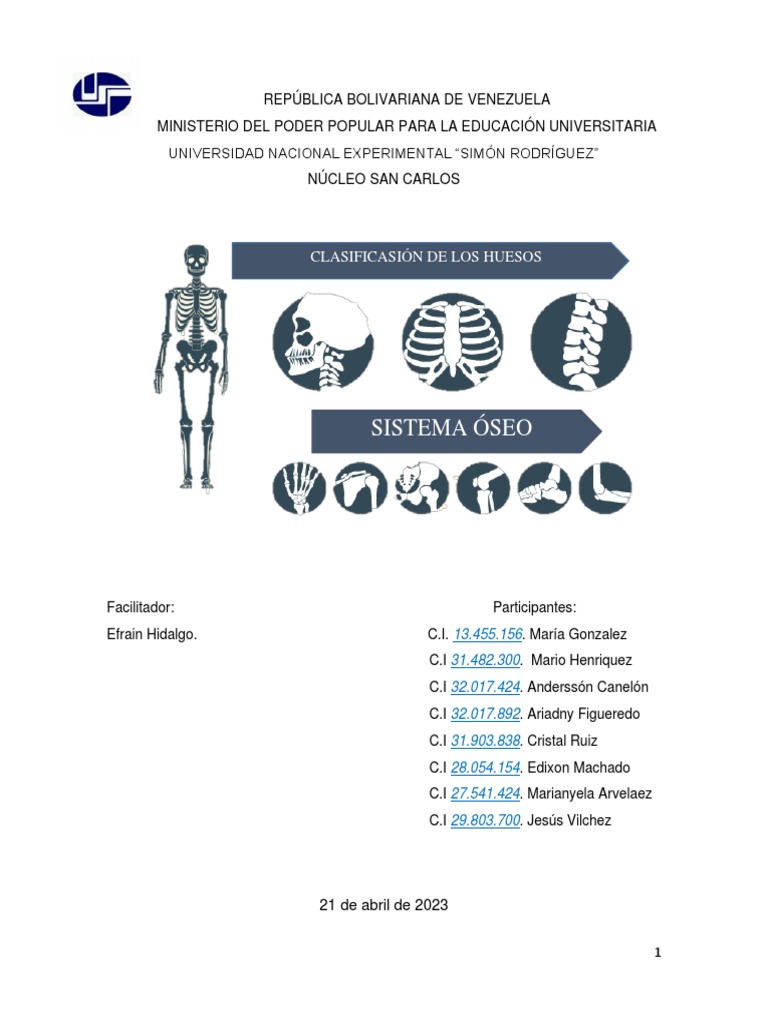 Esqueleto Axial Y Apendicular Pdf Esqueleto Pelvis