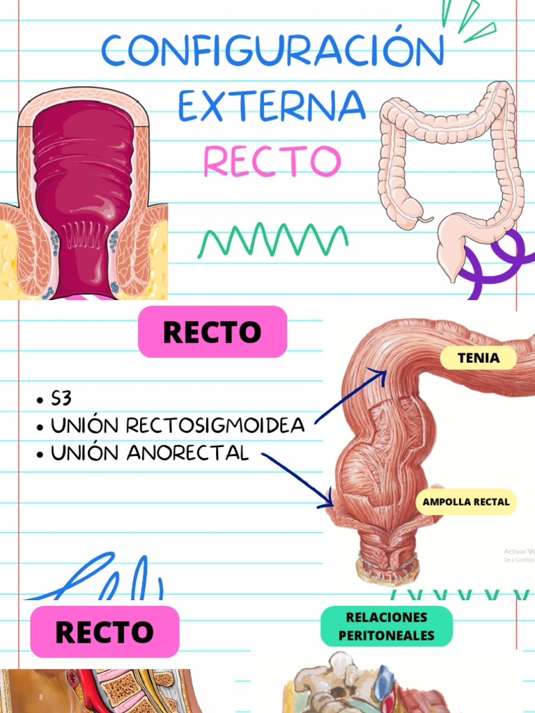 Recto: Configuración Externa | PDF