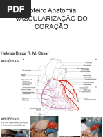 Vascularização Cardíaca | PDF | Circulação coronária | Coração