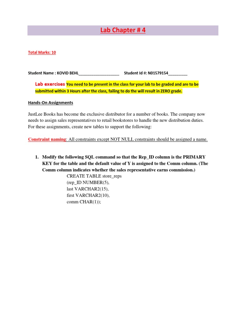 Lab Chapter # 4 | PDF