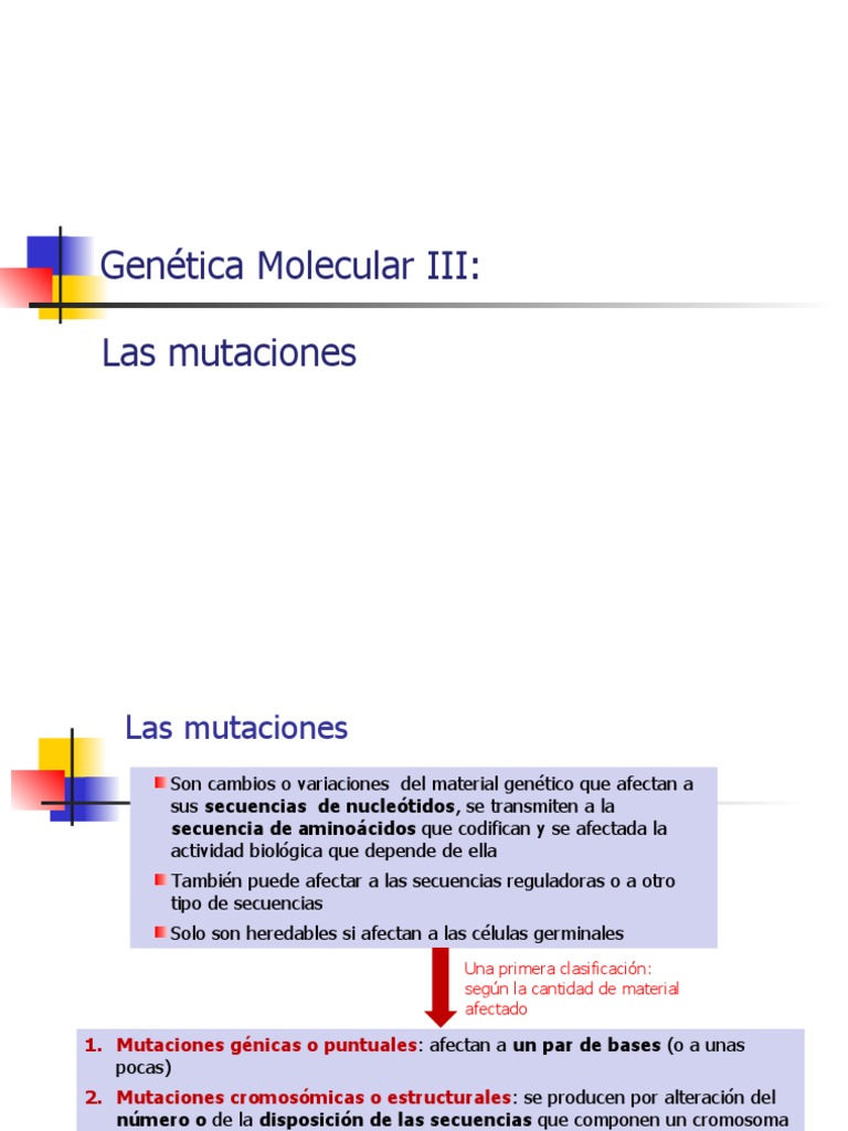 Las Mutaciones | PDF