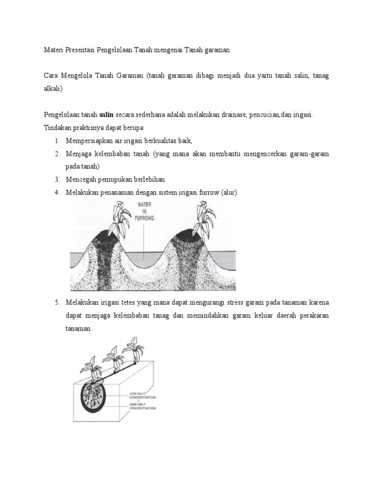 Pengelolaan Tanah Garaman Efektif | PDF | Griya & Taman