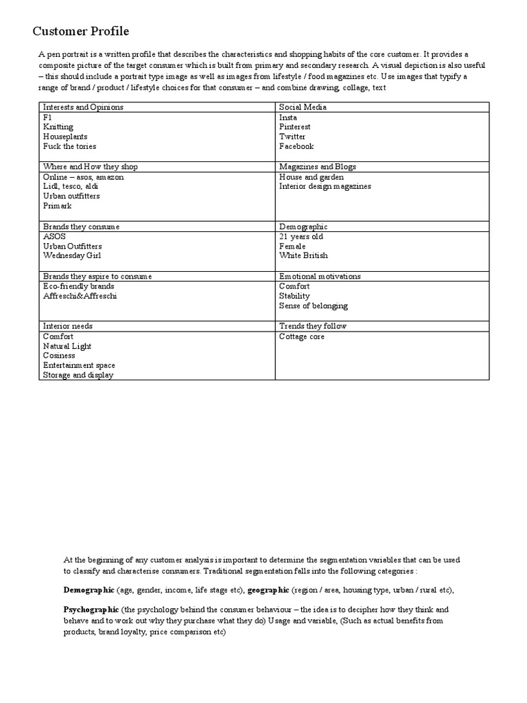 Customer Profile Demographics | Download Free PDF | Market Segmentation ...