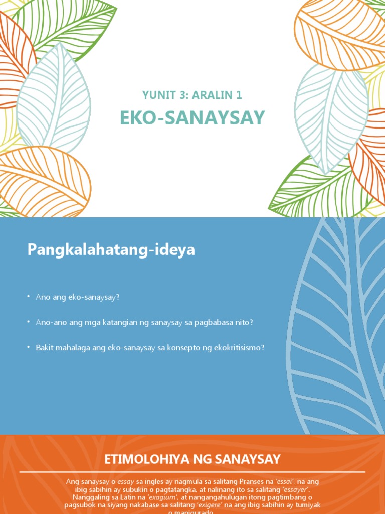 Eko Sanaysay | PDF