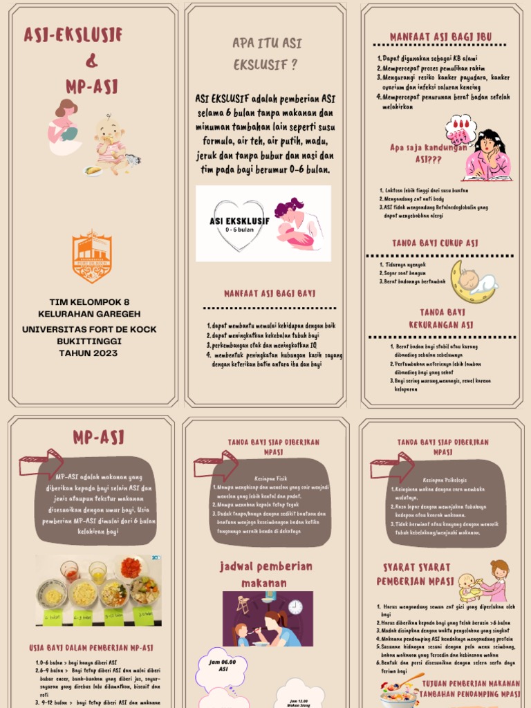 Leaflet Asi Ekslusif & Mp-Asi PDF | PDF