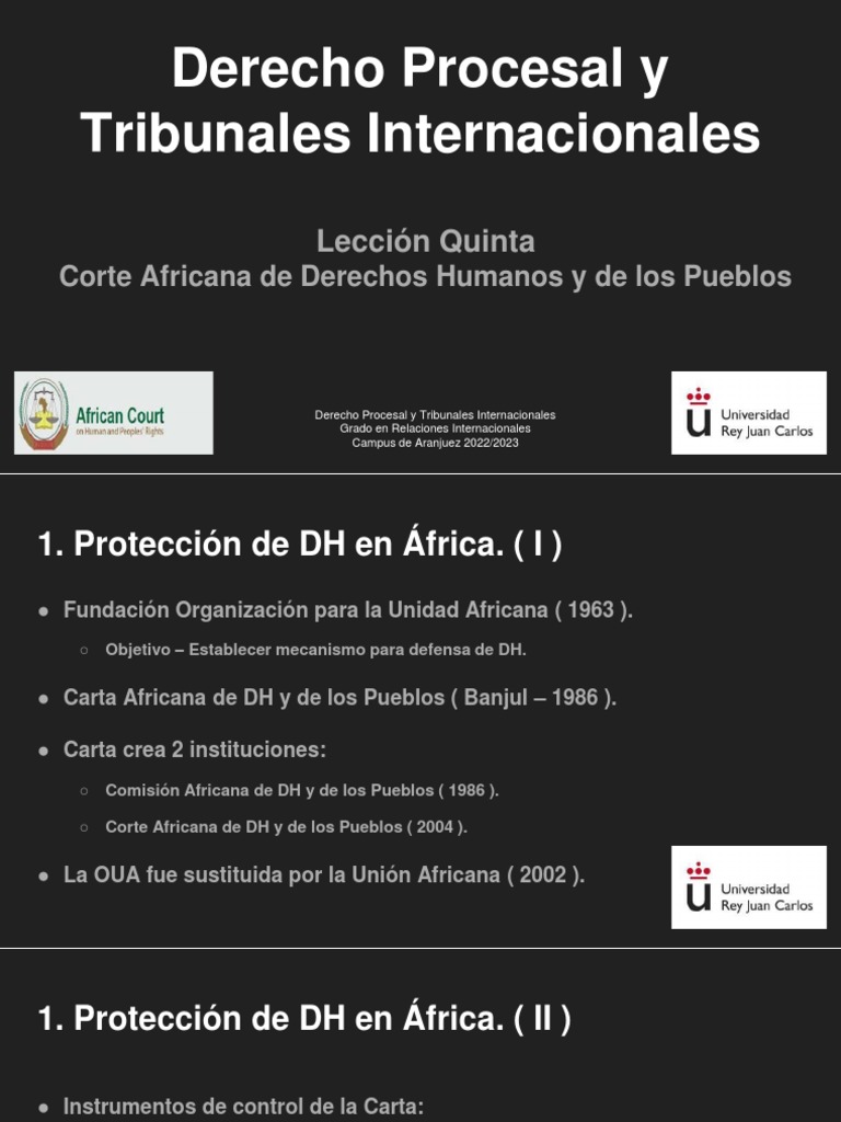 05 - Corte Africana de Derechos Humanos y de Los Pueblos PDF | PDF | África | Ley procesal