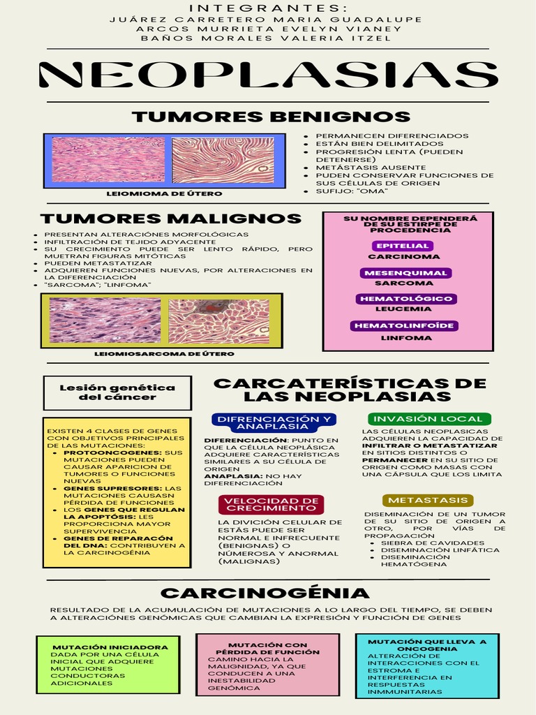 NEOPLASIAS | PDF | Cáncer | Oncogen