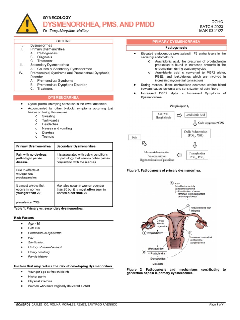 (GYNE-TRANS) 3.07A Dysmenorrhea, PMS and PMDD | PDF | Premenstrual Syndrome | Nonsteroidal Anti ...