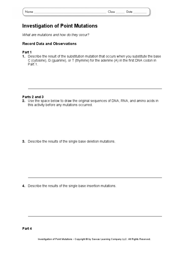 Investigating Point Mutations-WS | PDF