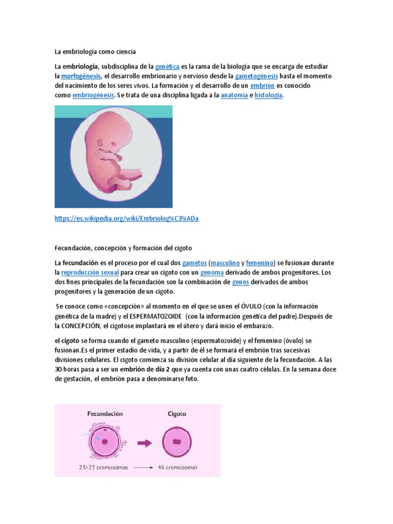 Etapas de la Fecundación y Embrionaria | PDF | Embrión | Placenta