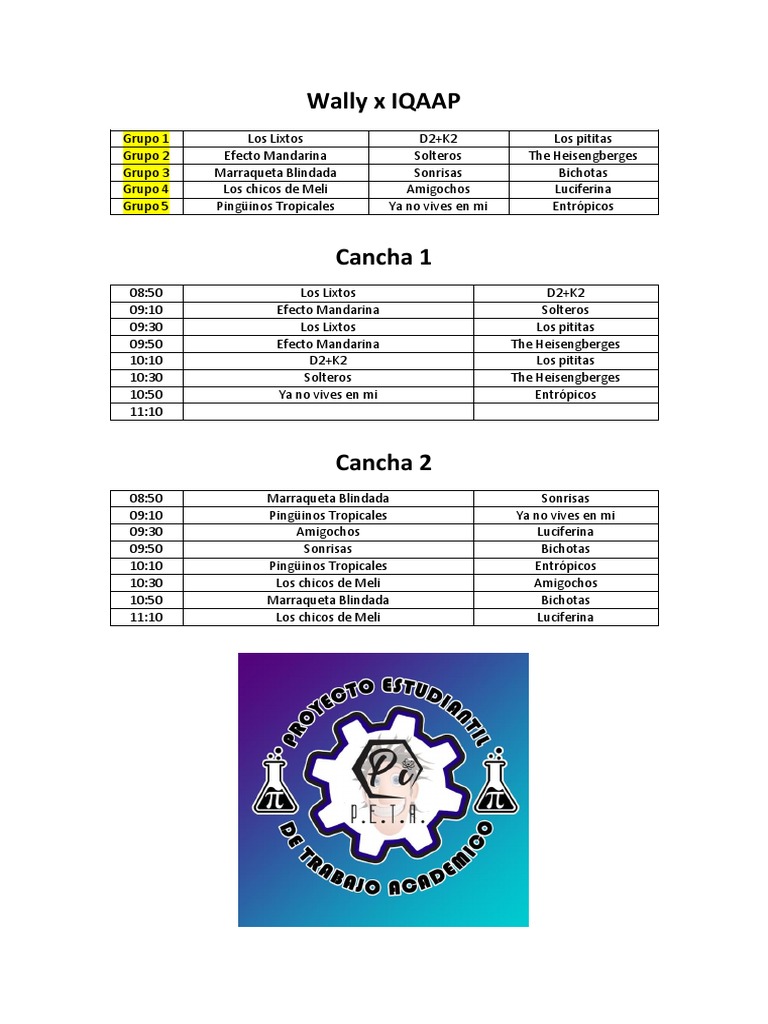 Torneo Wally x IQAAP: Partidos y Grupos | PDF